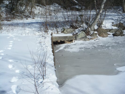 GREAT SWAMP MANAGEMENT AREA - Updated January 2026 - 31 Photos ...