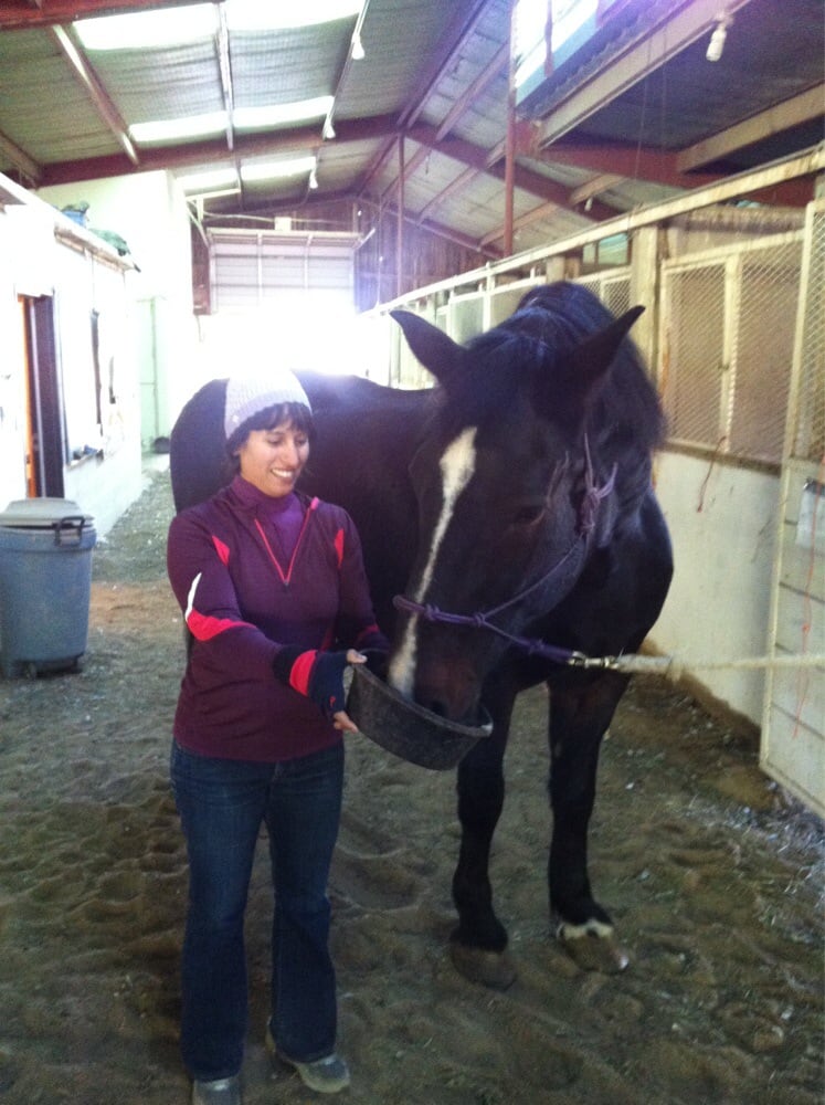 ROCKY MOUNTAIN RIDING THERAPY - Updated July 2025 - 67 S Cherryvale Rd ...