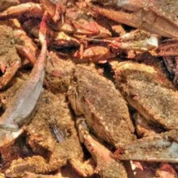 MR BILL’S TERRACE INN - 173 Photos & 157 Reviews - 200 Eastern Blvd ...