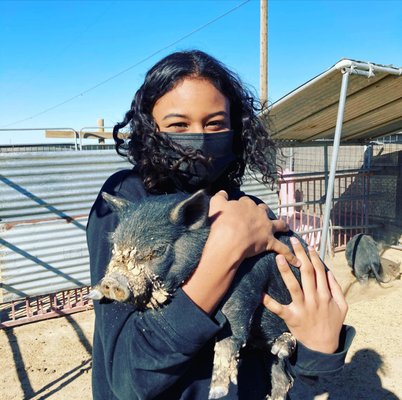 BARBER FAMILY FARM - 270 Photos & 25 Reviews - 354 B East Ave G-6 ...