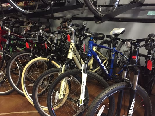 TLC FOR BIKES - Updated January 2026 - 29 Reviews - 8480 Honeycutt Rd ...