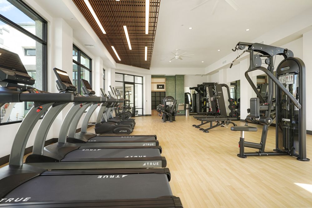 NACONA - Updated December 2025 - 14 Photos - 8772 N 67th Ave, Glendale ...