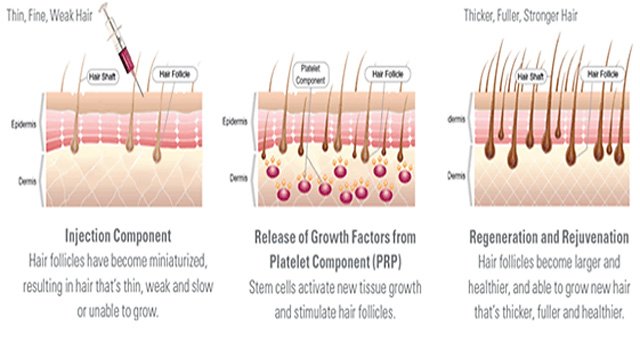 MITRI AESTHETICS - Updated June 2024 - 1418 NE 26th St, Wilton Manors ...