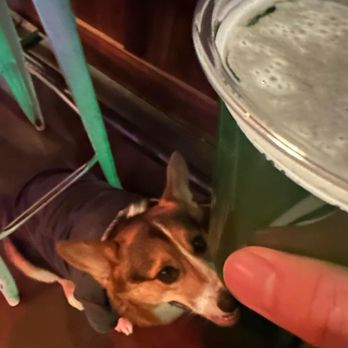 FIBS BREWING - Updated June 2025 - 171 Photos & 70 Reviews - 260 Howard ...