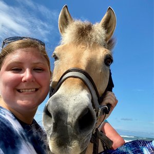 CHARLIE HORSE STABLES - Updated October 2025 - 18 Photos - Ocracoke ...