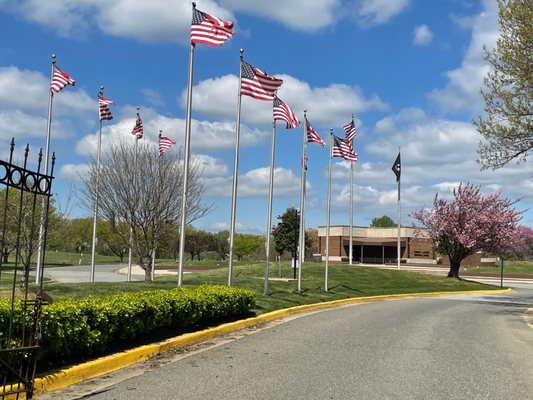 CHELTENHAM VETERANS CEMETERY - Updated January 2026 - 28 Photos - 11301 ...