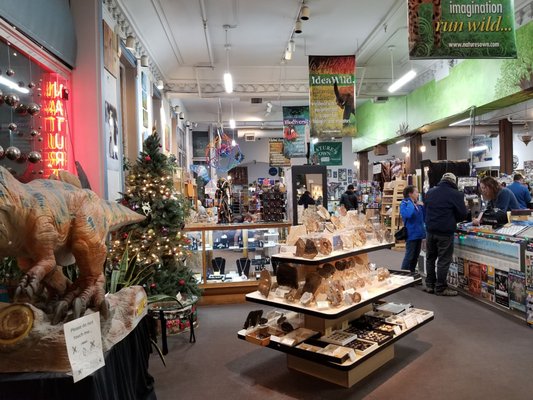 NATURE’S OWN - 102 Photos & 19 Reviews - Jewelry - 201 Linden St, Fort ...