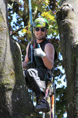 ALL AROUND ARBOR TREE SERVICE - Updated October 2025 - 73 Photos & 187 ...