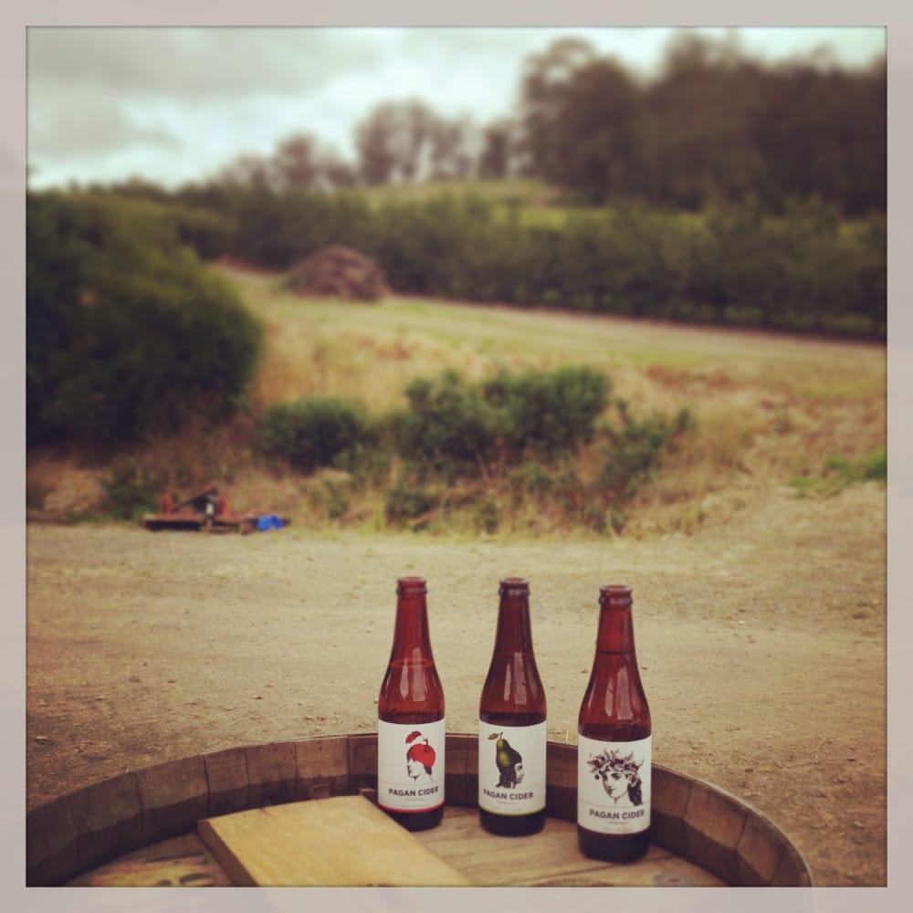 PAGAN CIDER - Updated November 2024 - 7891 Channel Hwy, Cradoc Tasmania ...