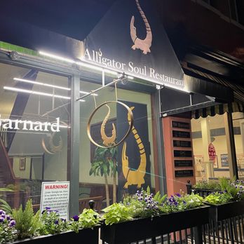 ALLIGATOR SOUL - Updated November 2024 - 1407 Photos & 1299 Reviews ...