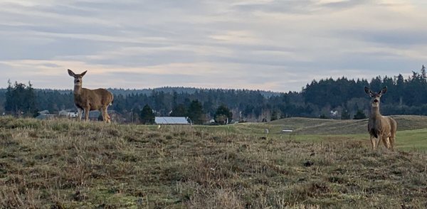 THE HOME COURSE - Updated October 2025 - 46 Photos & 45 Reviews - 2300 ...