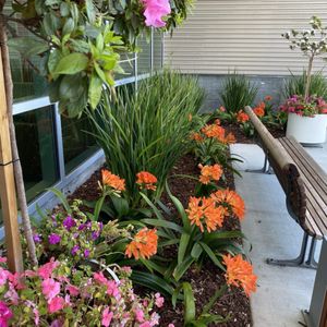 MONTAGE ORTHOPEDICS AND SPORTS MEDICINE - Updated January 2026 - 12 ...