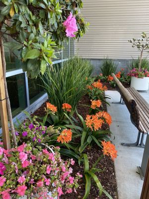 MONTAGE MEDICAL GROUP - RYAN RANCH - Updated December 2025 - 19 Photos ...