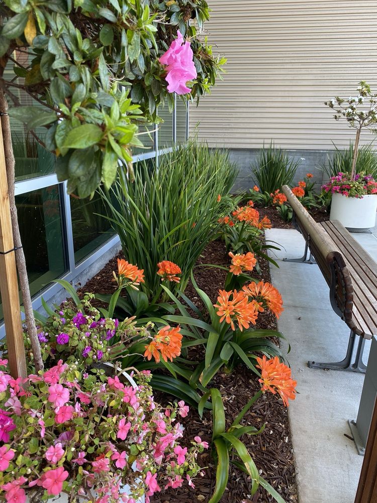 MONTAGE MEDICAL GROUP - RYAN RANCH - Updated January 2026 - 19 Photos ...