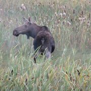 ALBIAN SANDS VILLAGE - 12 Photos - Fort McMurray, Alberta - Hotels - Yelp