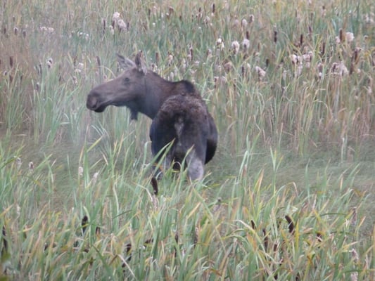 ALBIAN SANDS VILLAGE - Updated January 2026 - 12 Photos - Fort McMurray ...