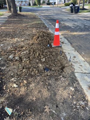 RIPPLE FIBER - Updated January 2026 - 14 Photos & 36 Reviews - 6000 ...