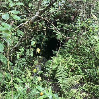 WAIMANO LOOP TRAIL - Updated January 2026 - 451 Photos & 90 Reviews ...