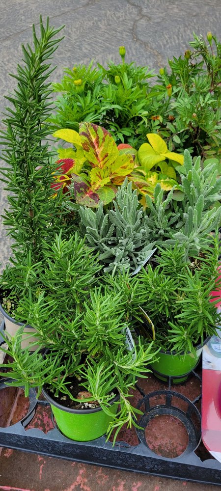 ORANGE COUNTY FARM SUPPLY - 64 Photos & 86 Reviews - 1826 W Chapman Ave ...