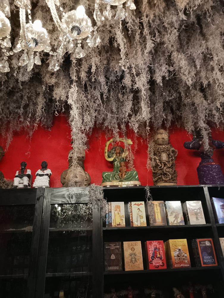 THE VOODOO BONE LADY TOURS - Updated January 2026 - 195 Photos & 394 ...