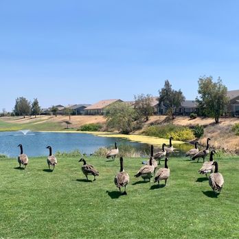 THE GOLF CLUB AT RIO VISTA - Updated July 2024 - 72 Photos & 51 Reviews ...