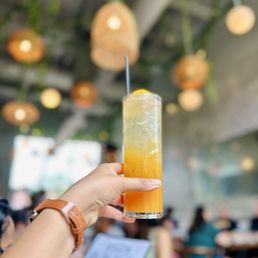 THE GINGER MULE - Updated January 2026 - 770 Photos & 327 Reviews - 449 ...