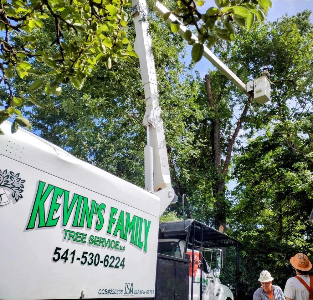 KEVIN’S FAMILY TREE SERVICE - Updated December 2025 - 11 Photos - PO ...