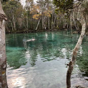 THREE SISTERS SPRINGS - 228 Photos & 62 Reviews - 123 NW US 19, Crystal ...