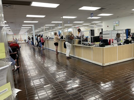 TAX COLLECTOR - DELRAY BEACH - Updated January 2026 - 55 Photos & 47 ...