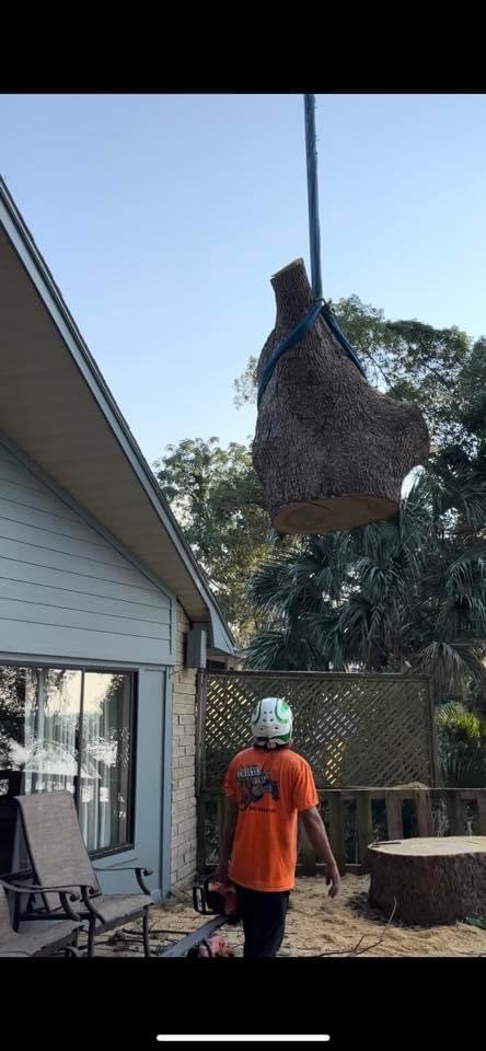 TWISTED PINE TREE SERVICE - Updated July 2024 - Request a Quote ...