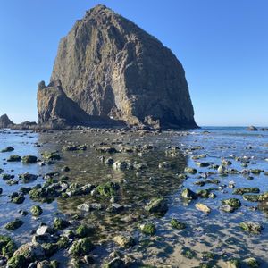 HAYSTACK ROCK - 667 Photos & 220 Reviews - Hwy 101, Cannon Beach, OR - Yelp