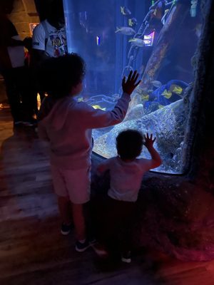 SEA LIFE GRAPEVINE AQUARIUM - Updated January 2025 - 440 Photos & 260 ...