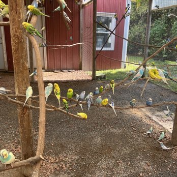 BRIGHT’S ZOO - Updated April 2025 - 68 Photos & 35 Reviews - 3425 Hwy ...