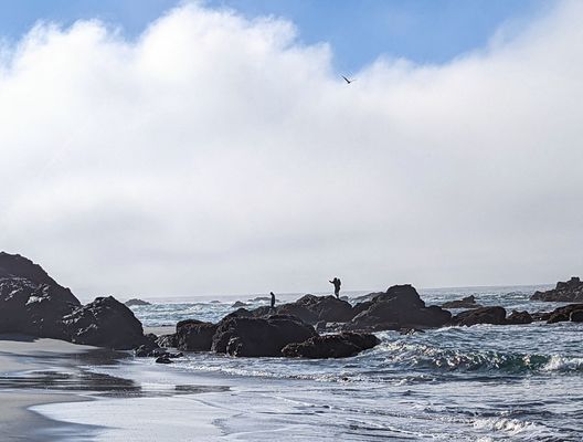 SHELL BEACH - Updated November 2025 - 37 Photos & 10 Reviews - 39200 ...