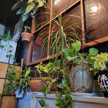 PAOLINO - Updated September 2025 - 223 Photos & 206 Reviews - 350 Mead ...