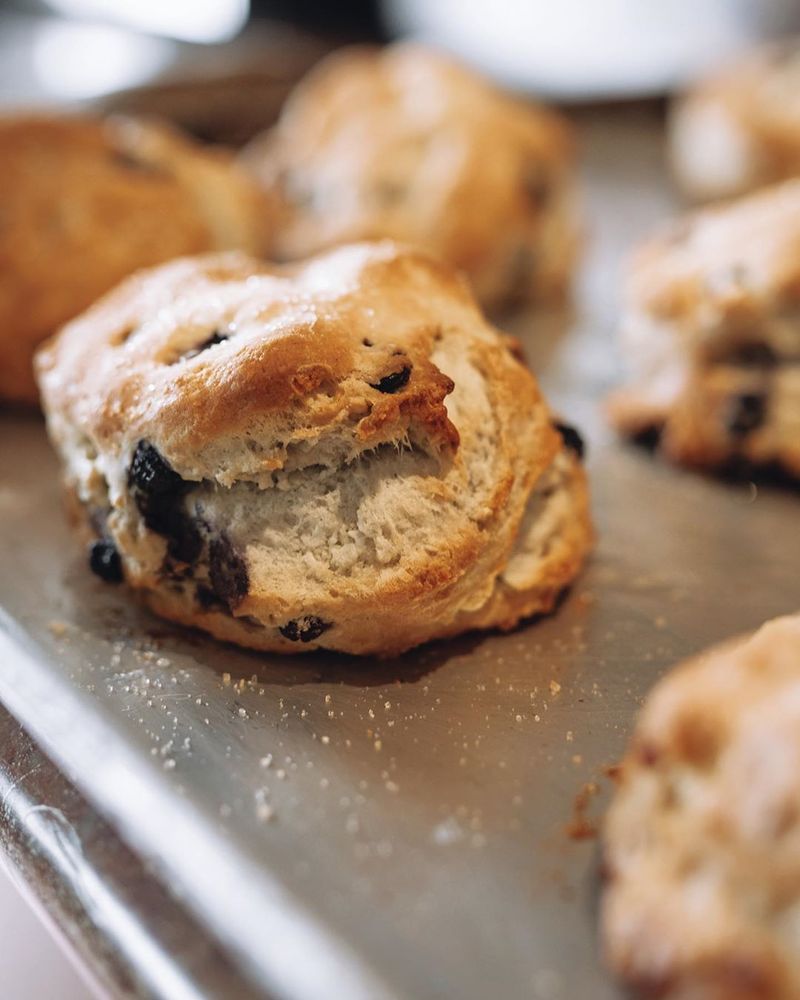 LAUGHING BEAN COFFEE COMPANY - Updated July 2024 - 88 Photos & 58 ...