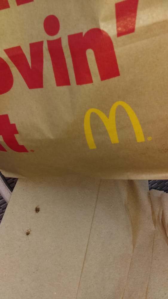 HATCH MOTT MACDONALD - Updated October 2024 - 16027 Ventura Blvd ...