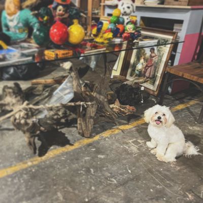 FLOWOOD ANTIQUE FLEA MARKET - Updated May 2025 - 1599 Photos & 18 ...