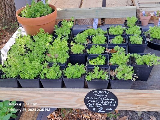 THE BEE’S KNEES FARMSTAND - Updated October 2025 - 11 Photos - 969 NE ...