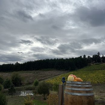 DOMAINE DIVIO - Updated December 2025 - 140 Photos & 76 Reviews - 16435 ...