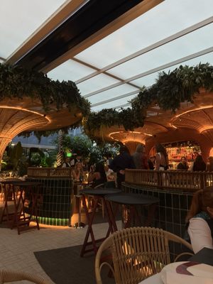 AMAZÓNICO MIAMI - Updated October 2025 - 42 Photos & 20 Reviews - 800 ...