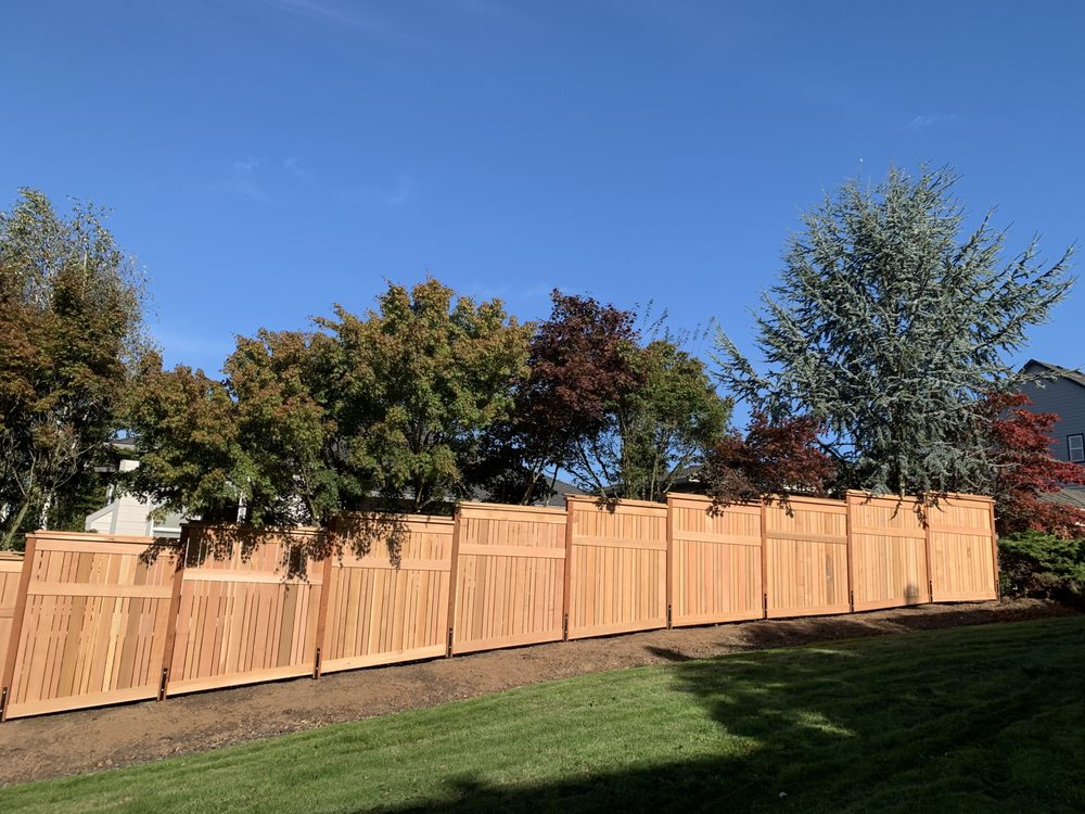 BELLA CONSTRUCTION GROUP - Updated July 2024 - Request a Quote - 75 ...