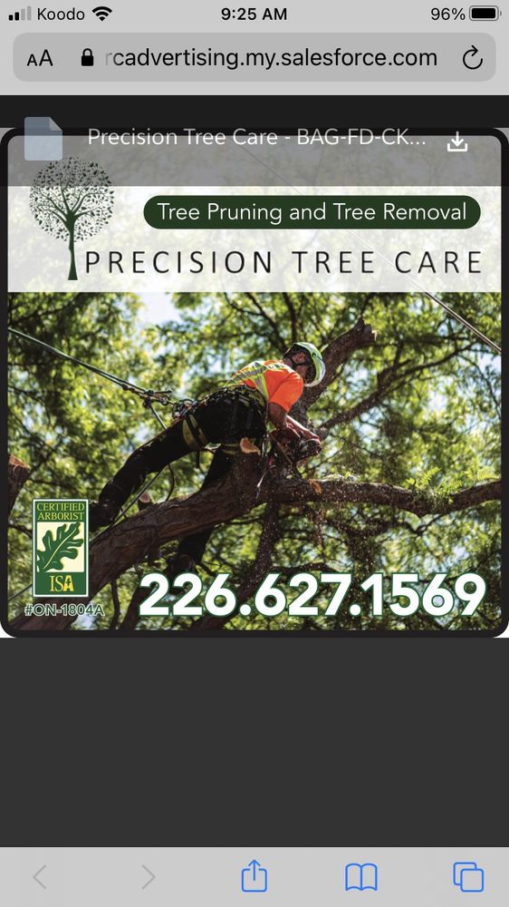 PRECISION TREE CARE - Blenheim, Ontario, Canada - Tree Services - Phone ...
