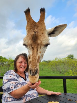 BLUE HILLS RANCH - Updated November 2024 - 181 Photos & 65 Reviews ...