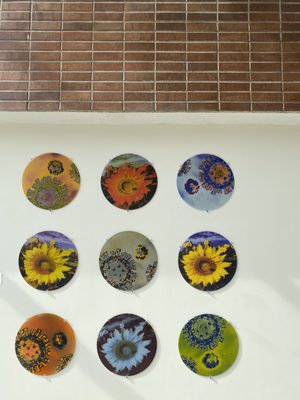 D’ART CENTER - Updated January 2025 - 13 Photos - 740 Boush St, Norfolk ...