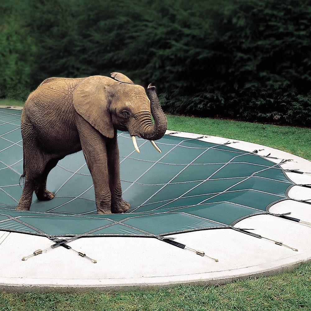 Best Swimming Pools near Columbia University Dodge Fitness Center in ...