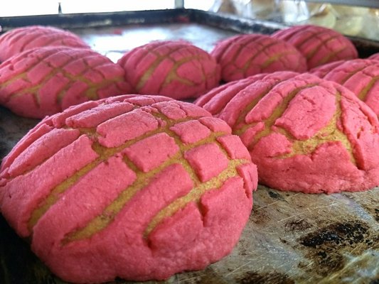 PANADERIA UNION 2825 Fm 1021 Eagle Pass TX Yelp panaderia-union-2825-fm-1021-eagle-pass-tx-yelp