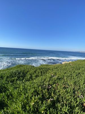 BOOMER BEACH - Updated December 2025 - 1160 Coast Blvd, La Jolla ...