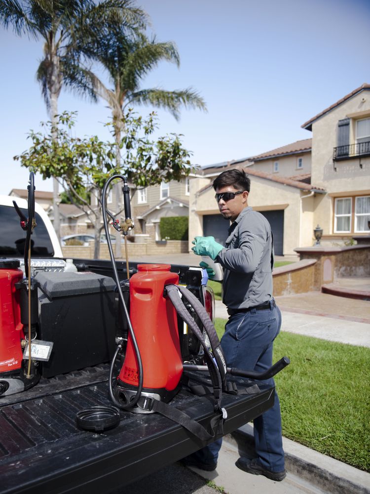 DM TERMITE AND PEST CONTROL - 13 Photos - Port Hueneme, California ...