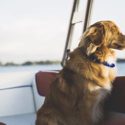 NORCAL MASTERCRAFT - SACRAMENTO - 79 Photos - 1371 Garden Hwy ...